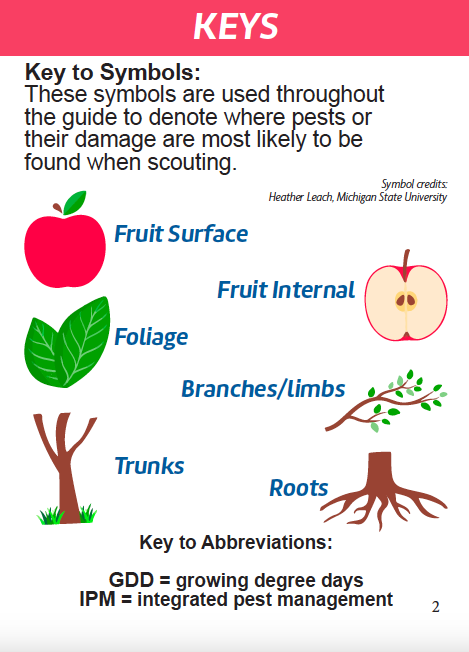 Insect and Disease IPM Scouting Guide for Michigan Apples now a downloadable PDF - Apples